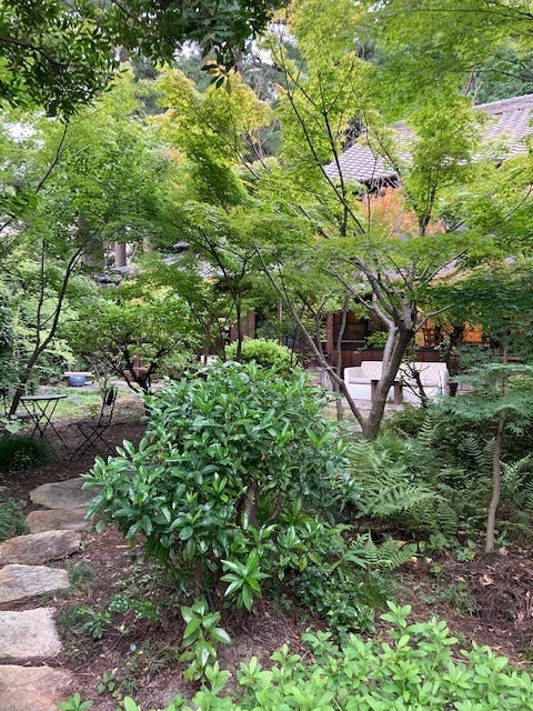 江戸末期の建物で、庭には樹齢約200年の松があるパワースポットの写真20