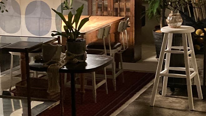 街の癒し空間!緑たくさんのほっこりスペースで教室や会議など様々なシーンにお使い頂けます!の写真2