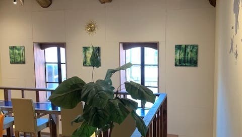 コロナでも安心♪ 尾道の海沿いの癒しのプライベートスペースの写真15