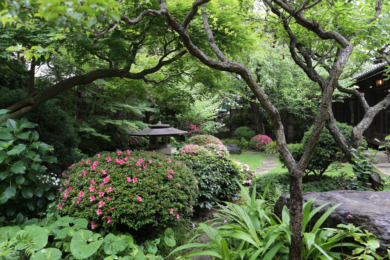 【竹ノ塚駅 / 浅草から電車で30分】築77年の国の登録文化財。洋館のある和風邸宅。撮影や会議・研修・前撮り写真でのご利用可能の写真19