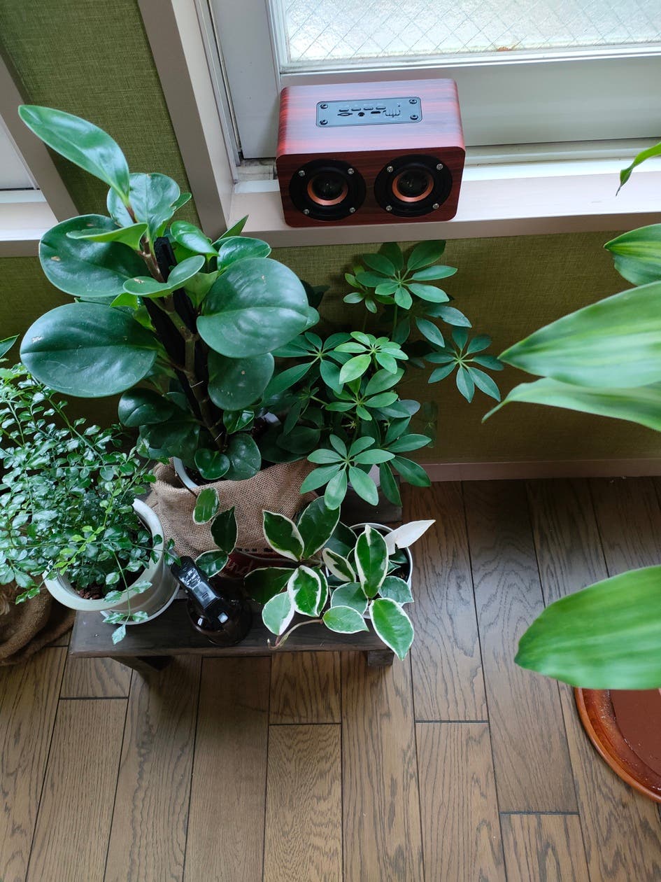 【レンタルサロンHANARE】セラピスト/ネイル/アロマ/エステ/整体/アイラッシュ/栄町1分　の写真9