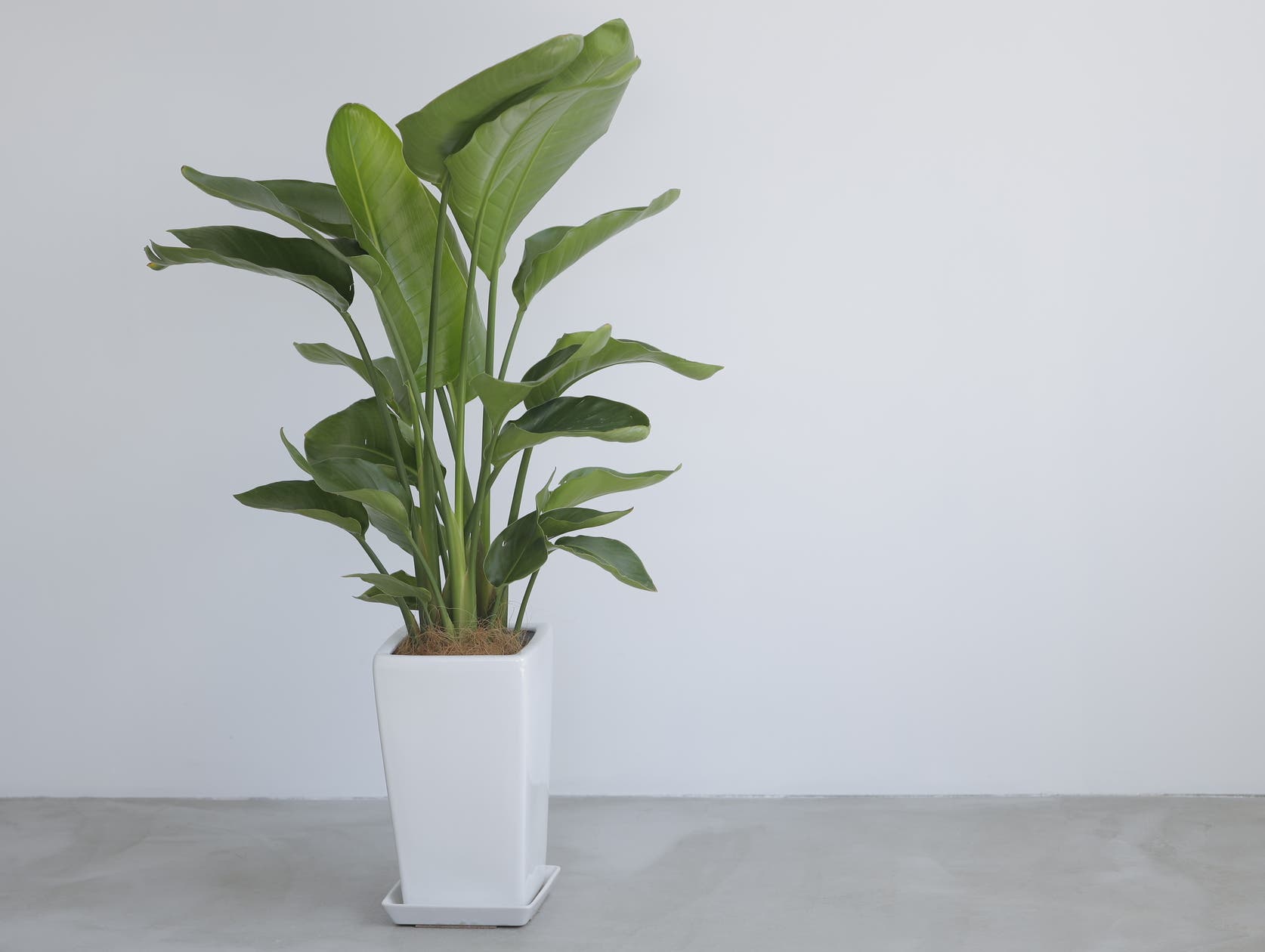 本八幡駅から徒歩4分。ライティング不要の明るい自然光で撮影できるスタジオ。閑静な住宅街ながら近隣にドンキなどあり便利な立地。の写真28