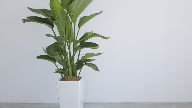 本八幡駅から徒歩4分。ライティング不要の明るい自然光で撮影できるスタジオ。閑静な住宅街ながら近隣にドンキなどあり便利な立地。の写真28