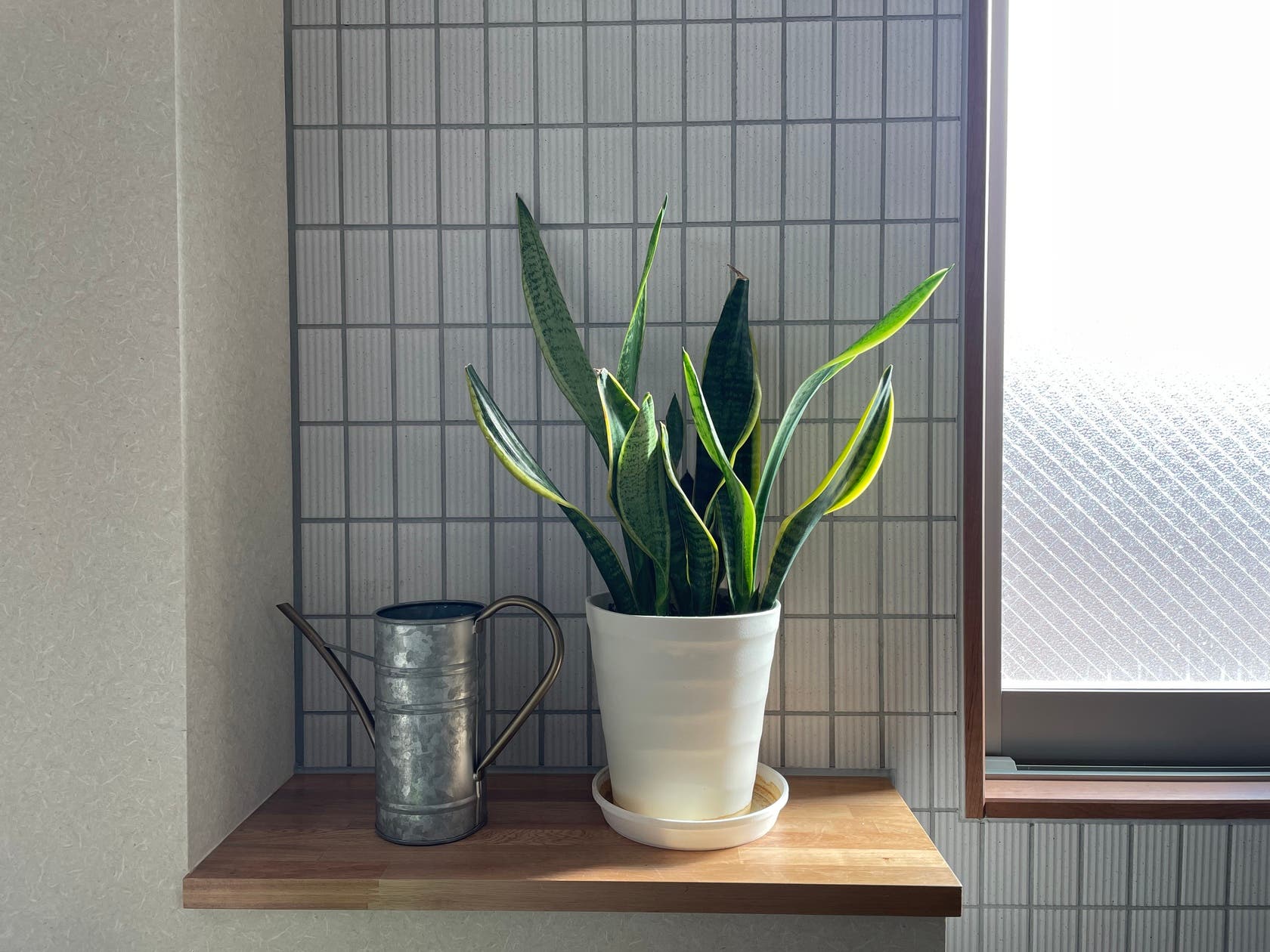 新築！天下茶屋駅から徒歩５分、撮影、誕生日会、女子会などにの写真7