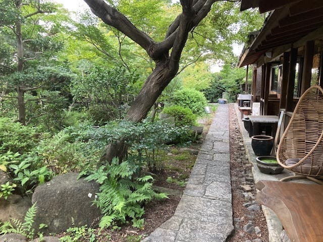 新緑や紅葉🍁など庭の木々が季節ごとに違う景色を見せてくれます。　紅葉の時期は見事です！の写真7