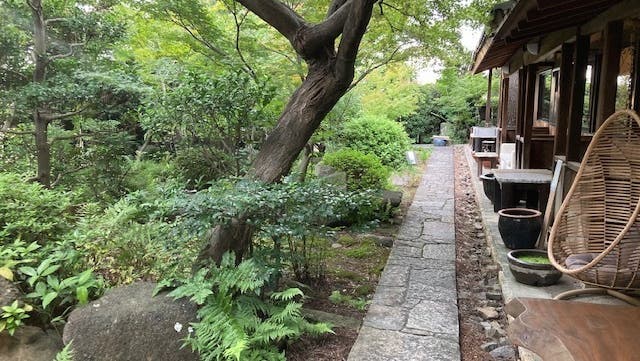 新緑や紅葉🍁など庭の木々が季節ごとに違う景色を見せてくれます。 紅葉の時期は見事です!の写真7