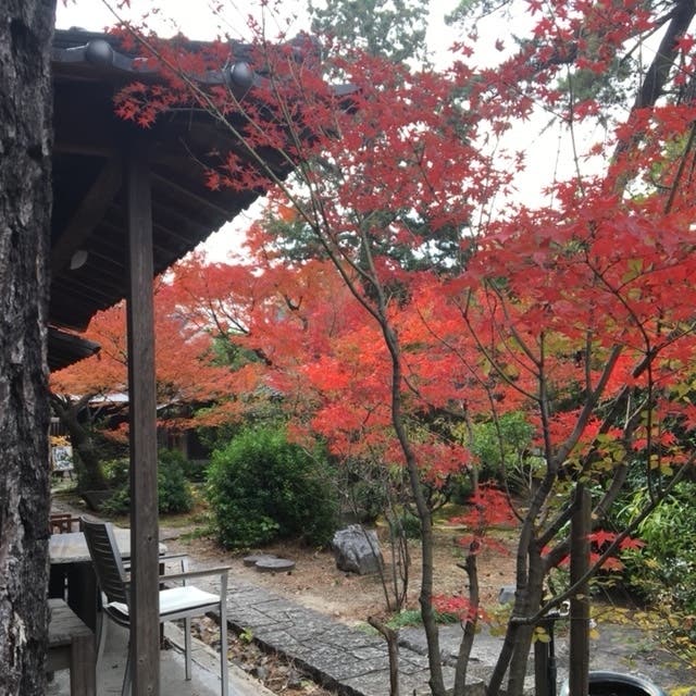 新緑や紅葉🍁など庭の木々が季節ごとに違う景色を見せてくれます。　紅葉の時期は見事です！の写真6