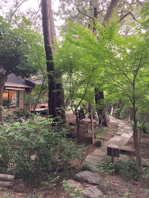 新緑や紅葉🍁など庭の木々が季節ごとに違う景色を見せてくれます。　紅葉の時期は見事です！の写真14