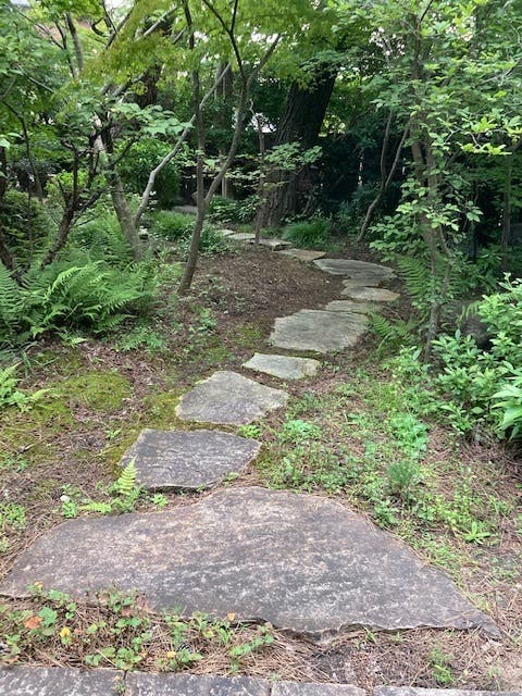 新緑や紅葉🍁など庭の木々が季節ごとに違う景色を見せてくれます。　紅葉の時期は見事です！の写真15