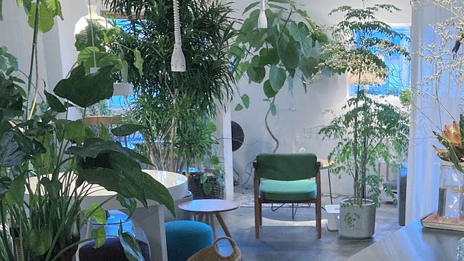 街の癒し空間!緑たくさんのほっこりスペースで教室や会議など様々なシーンにお使い頂けます!の写真1