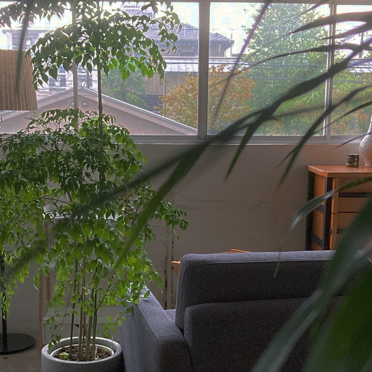 街の癒し空間！緑たくさんのほっこりスペースで教室や会議など様々なシーンにお使い頂けます！の写真6
