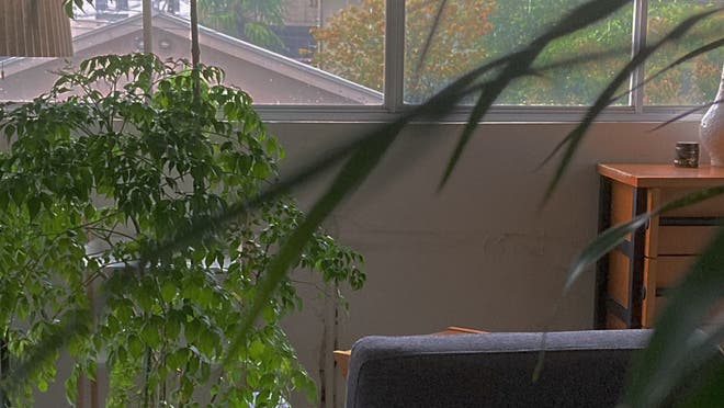 街の癒し空間!緑たくさんのほっこりスペースで教室や会議など様々なシーンにお使い頂けます!の写真6