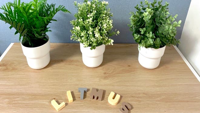 直前割🈹!【LITMUS高槻🔴🔵】🎊お祭りセール🎊開催中👏 / JR高槻駅すぐ!NURO光導入📡デート💏推し活💞の写真19