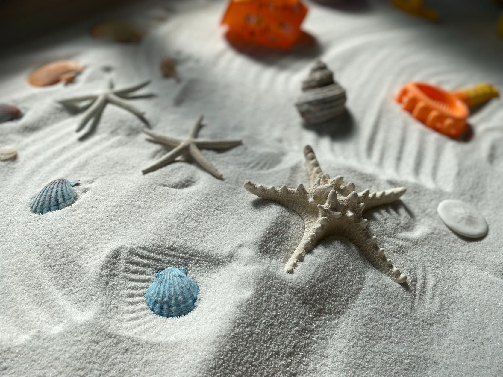 【おうちでキャンプ幟町公園前】🌸満点ママ取材店🌸🐙たこパー🐙巨大な黒板🎉女子会/誕生日会🎉デート❤️撮影会✨の写真12