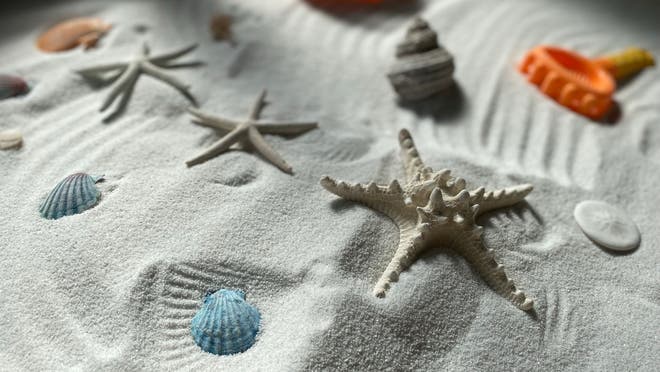 【おうちでキャンプ幟町公園前】🌸満点ママ取材店🌸🐙たこパー🐙巨大な黒板🎉女子会/誕生日会🎉デート❤️撮影会✨の写真13