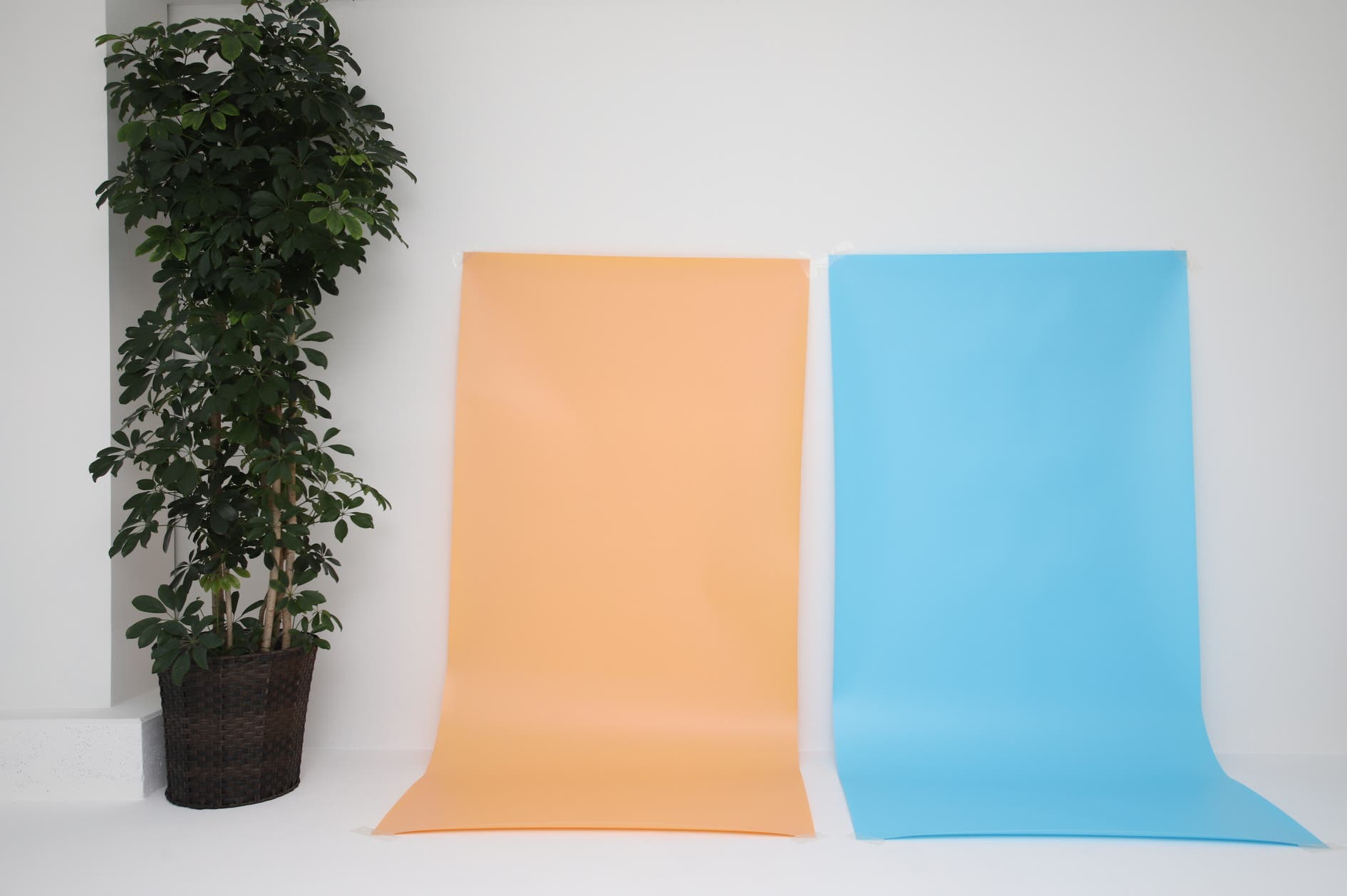 上野芝駅から徒歩3分の駅近！白ホリのフォトスタジオ。写真撮影/YouTube撮影にどうぞ！の写真14