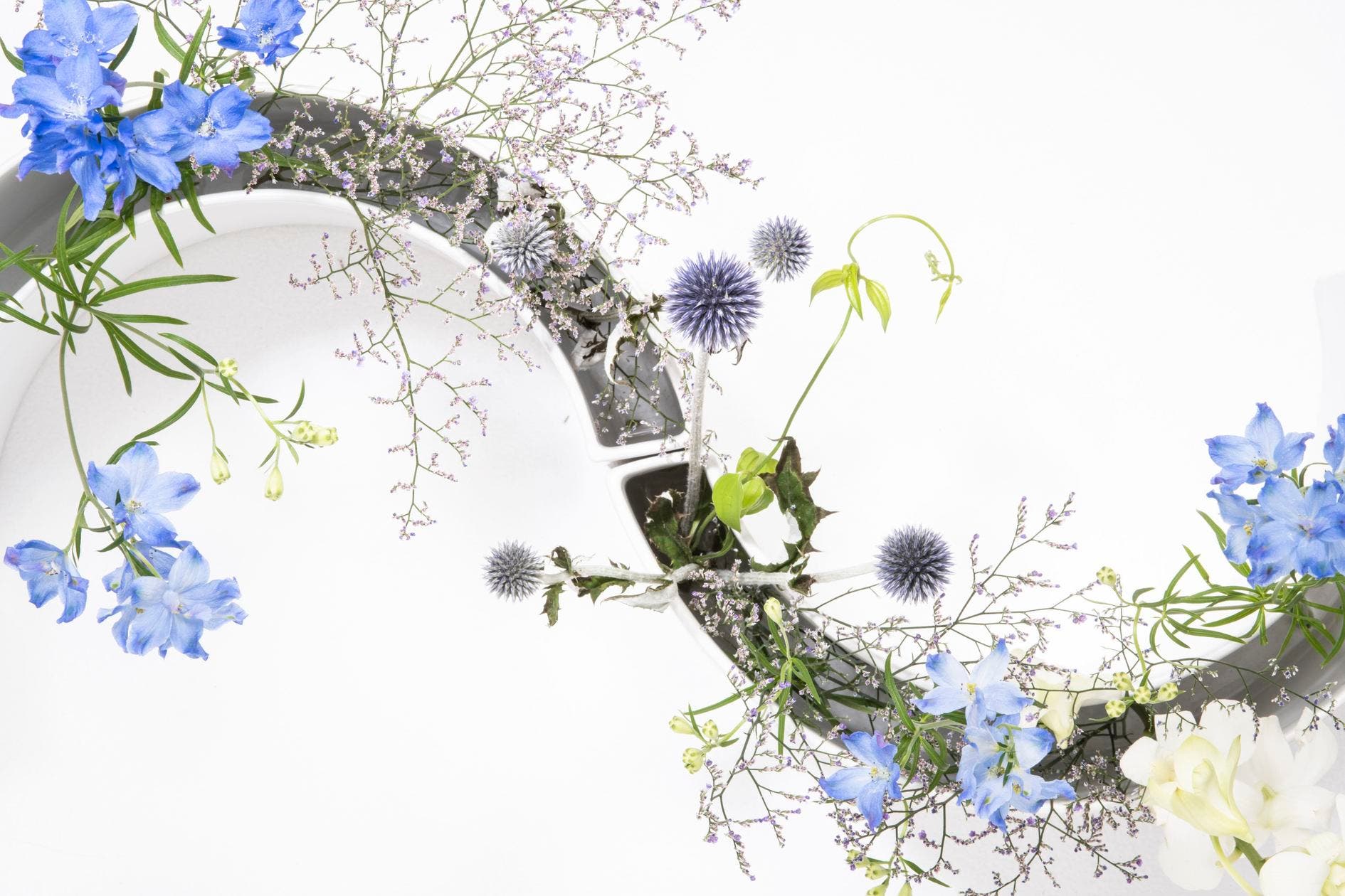 池袋エリアの広々白ホリスタジオ　天井高く、背景紙や無料機材も豊富！の写真15