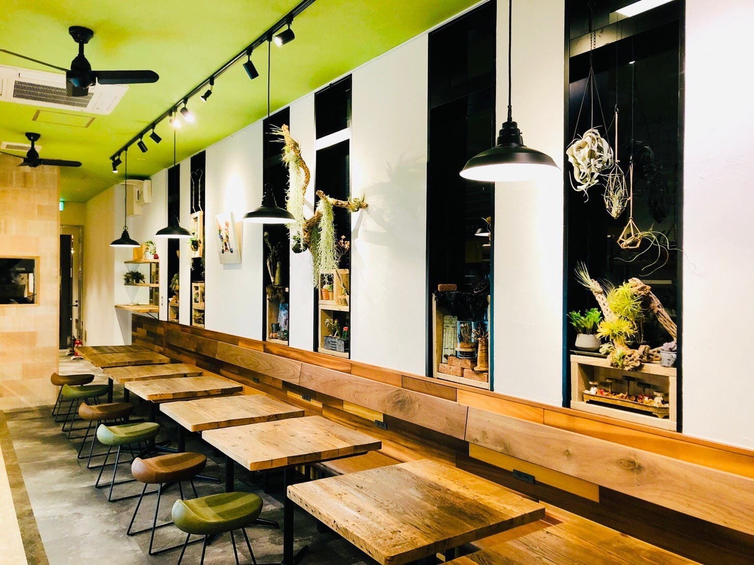 [新富町駅徒歩1分、高速無料WiFi]新鋭デザイナー監修のお洒落レストラン。映画、TV番組、YouTube等の撮影にもピッタリの写真6