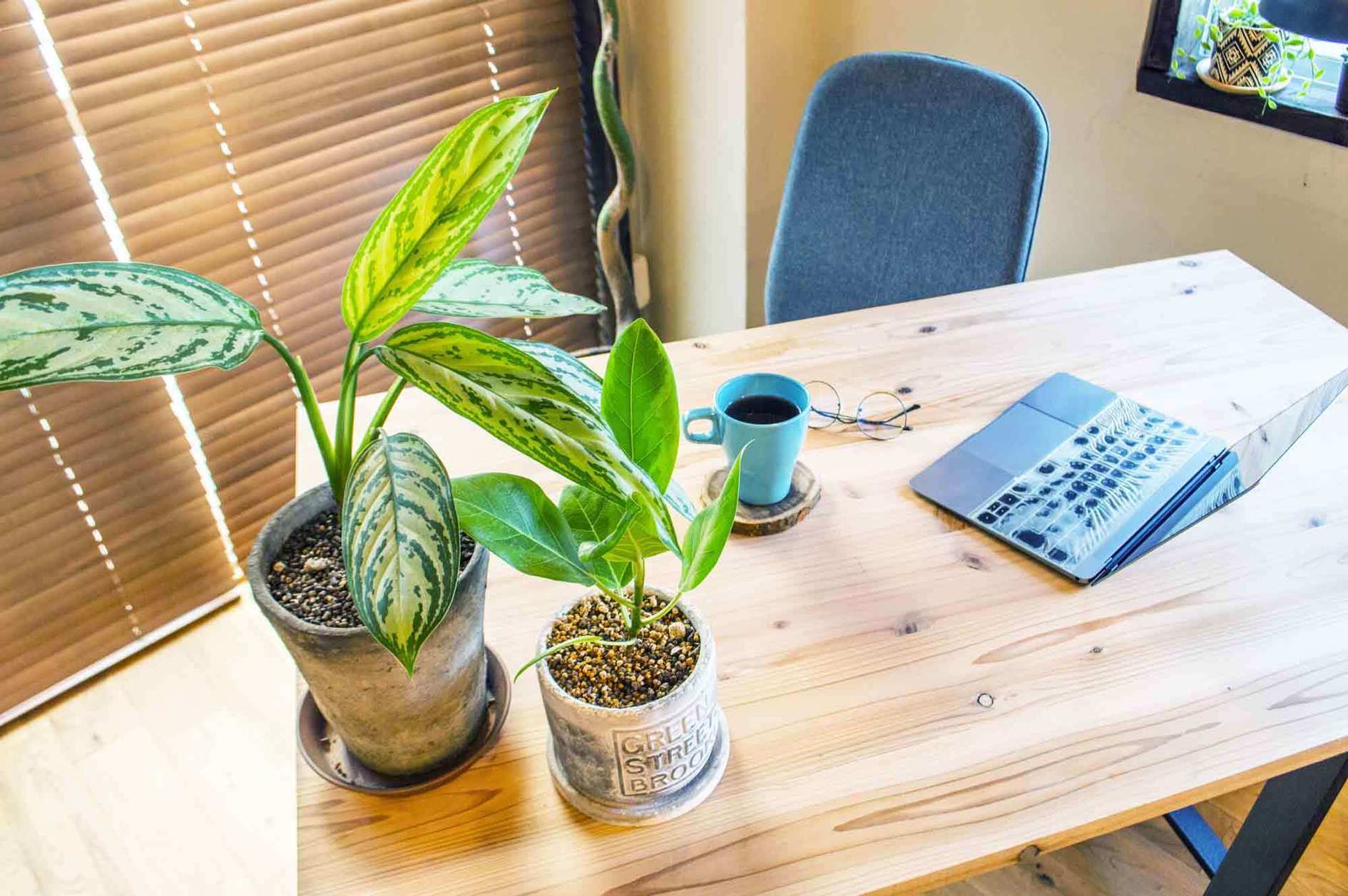 一人暮らしシーンの撮影に最適な品川・大井町のハウススタジオの写真5