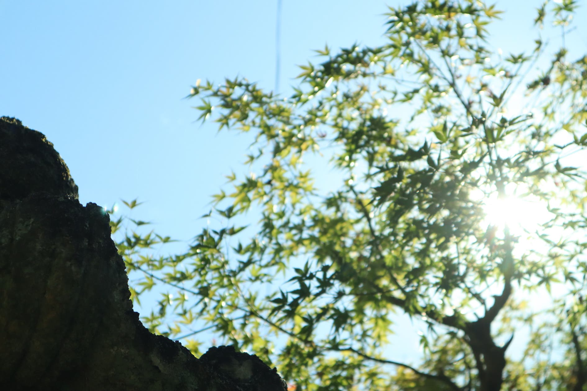 【ｺｽﾌﾟﾚ・ﾎﾟｰﾄﾚｰﾄ撮影におすすめ！】（縁側ｱﾘ・庭撮影もOK ）JR東尾道駅から徒歩10分。縁側&駐車場あります。の写真16