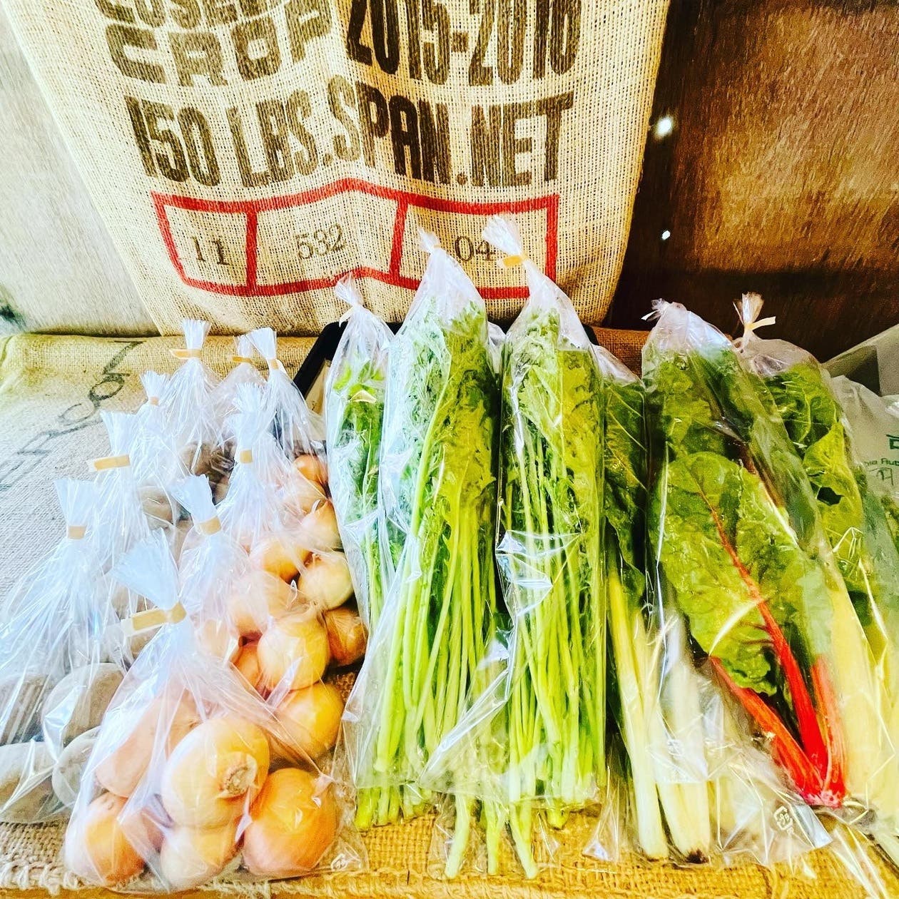 長野県千曲市 農園フリースペース！プライベートキャンプ、バーベキューパーティー、野外イベント、ワークショップ、リトリートなどの写真11