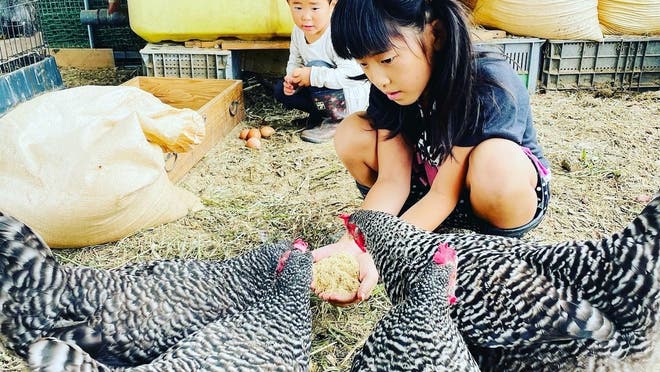 長野県千曲市 農園フリースペース!プライベートキャンプ、バーベキューパーティー、野外イベント、ワークショップ、リトリートなどの写真7