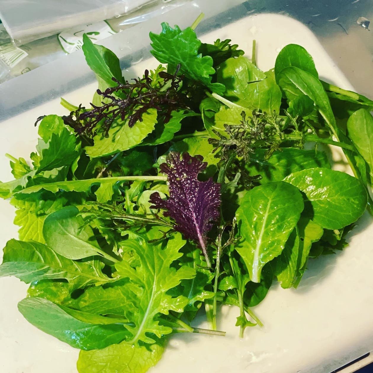 長野県千曲市 農園フリースペース！プライベートキャンプ、バーベキューパーティー、野外イベント、ワークショップ、リトリートなどの写真10