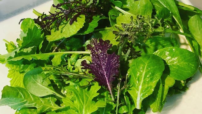 長野県千曲市 農園フリースペース!プライベートキャンプ、バーベキューパーティー、野外イベント、ワークショップ、リトリートなどの写真10