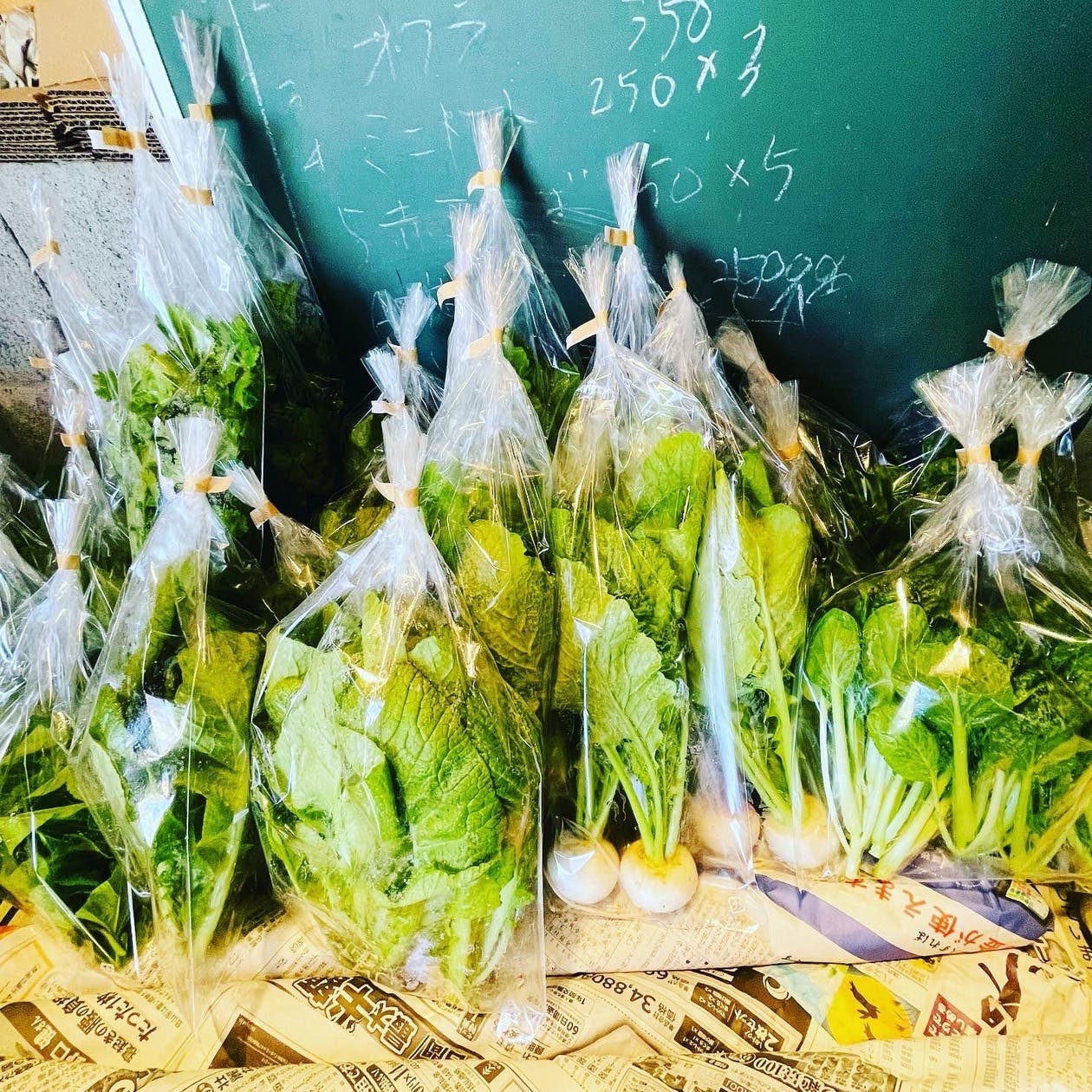 長野県千曲市 農園フリースペース！プライベートキャンプ、バーベキューパーティー、野外イベント、ワークショップ、リトリートなどの写真12