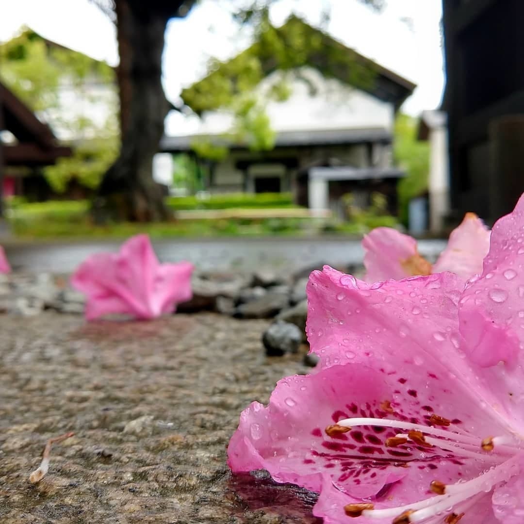 大正ロマン漂う館で特別な写真撮影！江戸時代から続く登録文化財を特別全館プライベート貸切の写真23