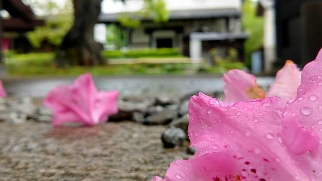 大正ロマン漂う館で特別な写真撮影!江戸時代から続く登録文化財を特別全館プライベート貸切の写真23