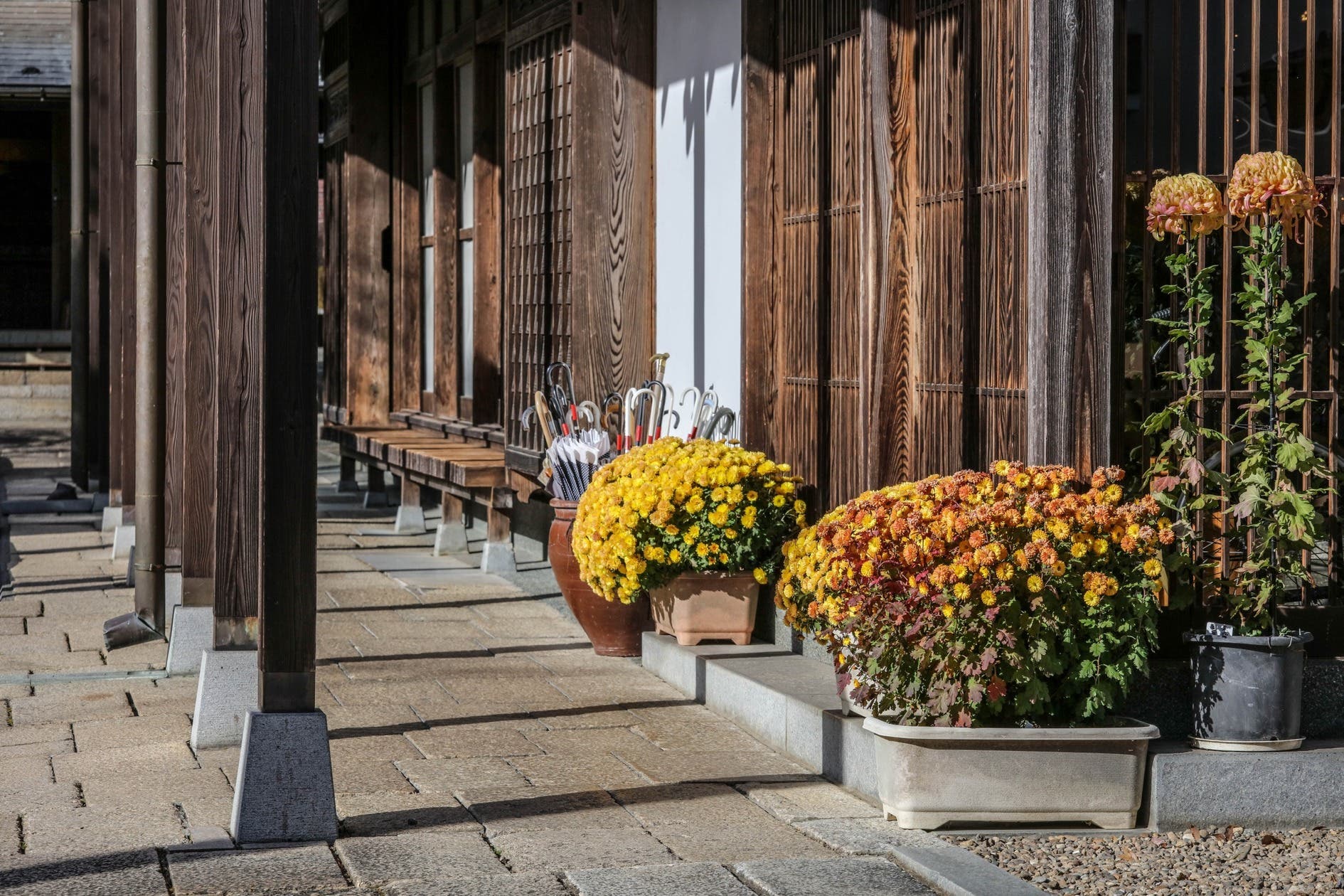 大正ロマン漂う館で特別な写真撮影！江戸時代から続く登録文化財を特別全館プライベート貸切の写真13