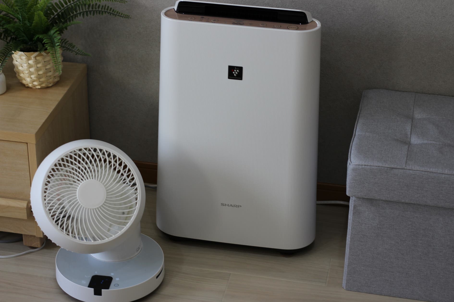 今池駅2分!!デート/お料理/誕生日会や映画鑑賞会など清潔感を重視したスペースです♪の写真11