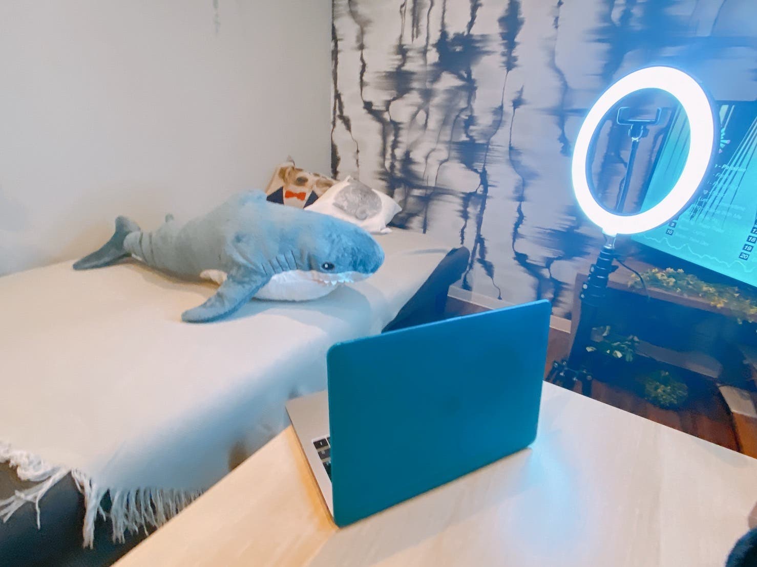 LEDリングライト💡の画像1