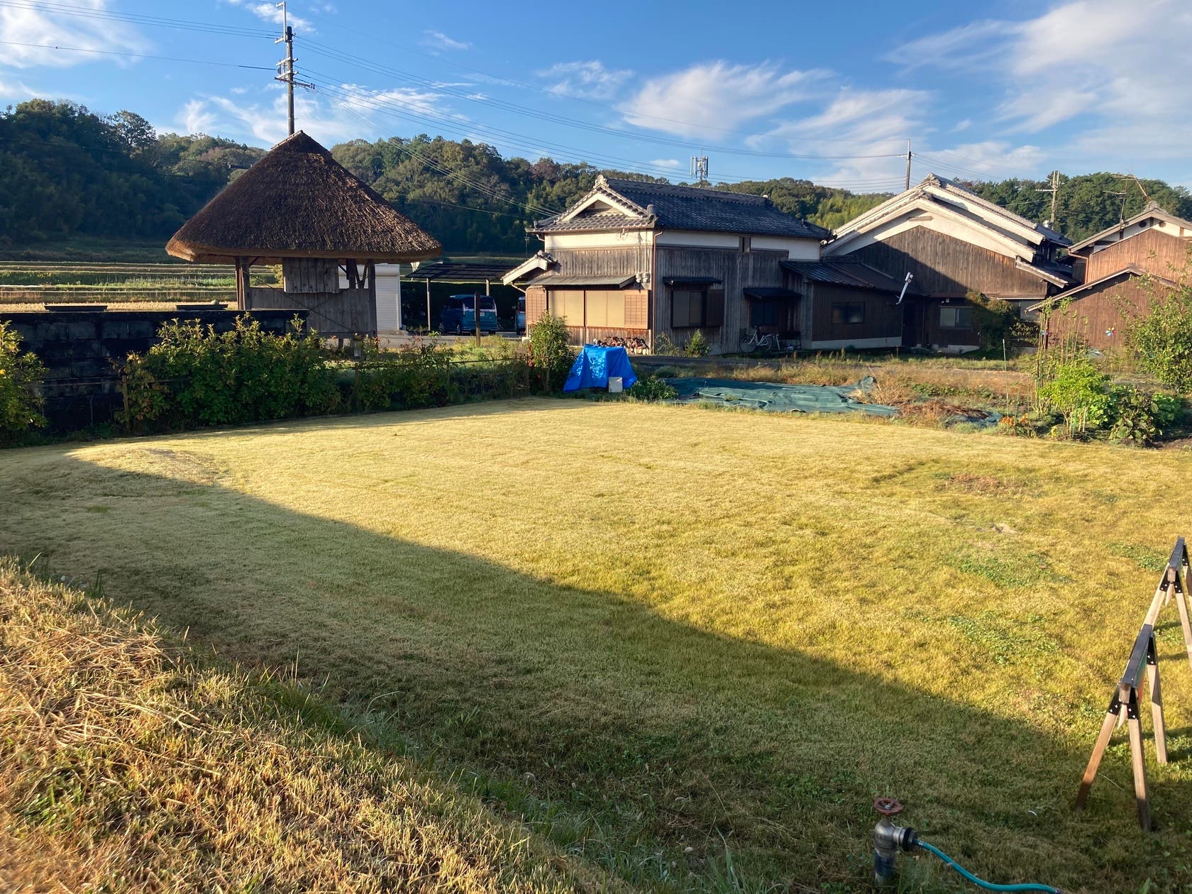 田舎の芝生でフリースペース。の写真3