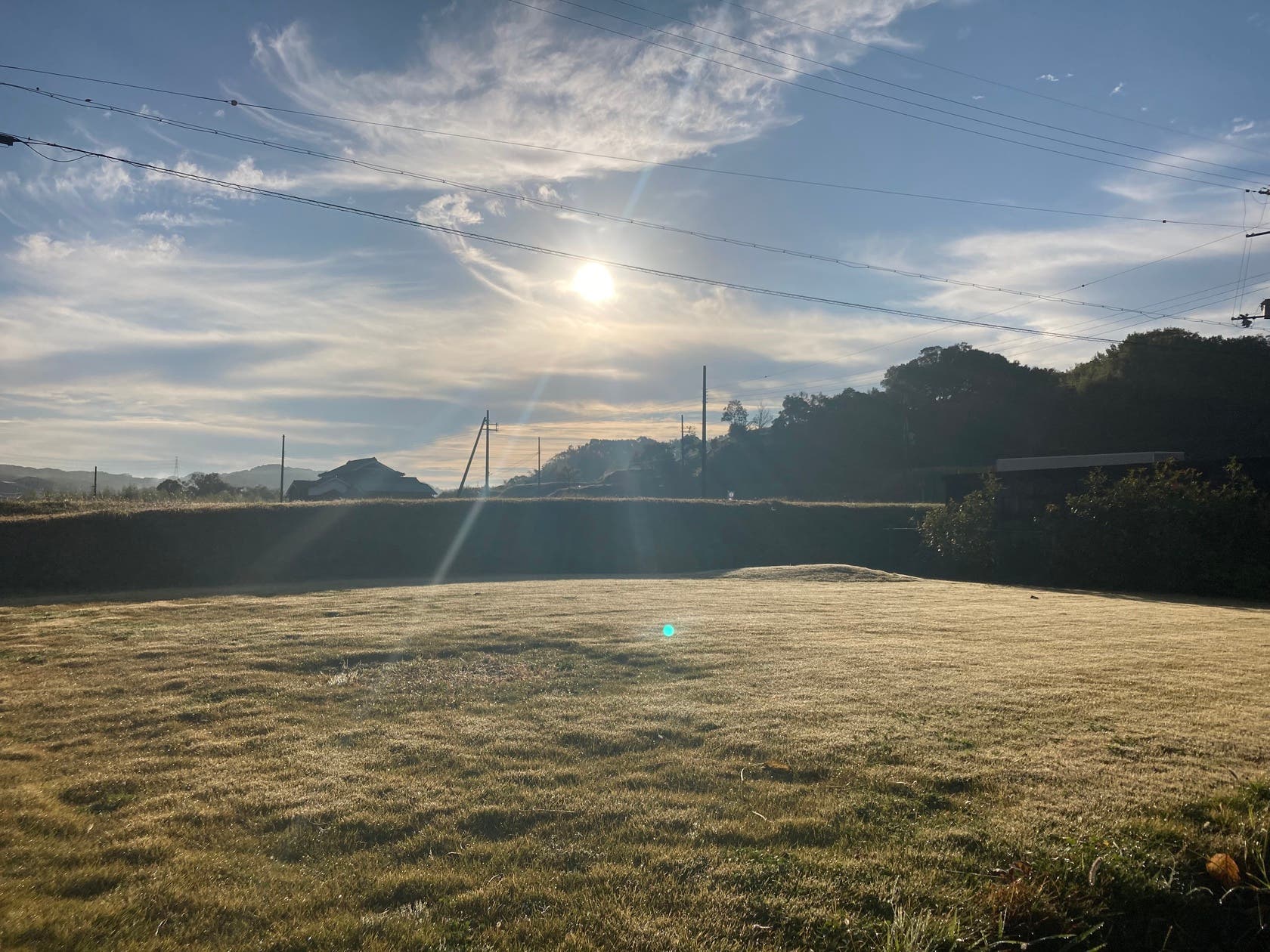 田舎の芝生でフリースペース。の写真4