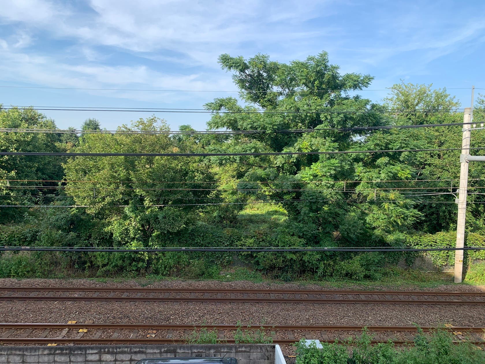 激レア！【スカイスタジオ立川】屋外撮影/動画撮影/ダンスに！【雨天キャンセル無料】[5]の写真9