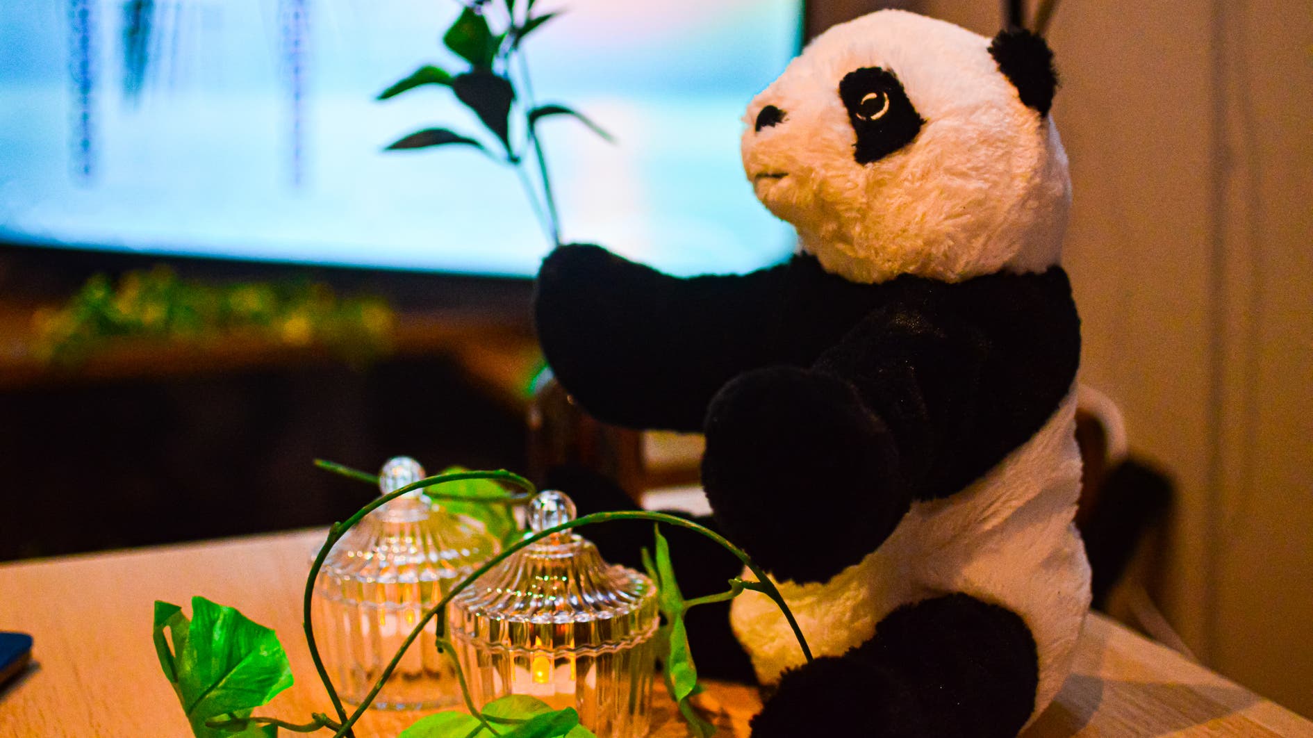 隠れ家風おうちスペース❣️｜カップル割👩‍❤️‍💋‍👩 学割🎓あり｜パーティー🎉 ｜河原BBQの控え室に🍖｜デート💝｜タコパ🐙の写真7