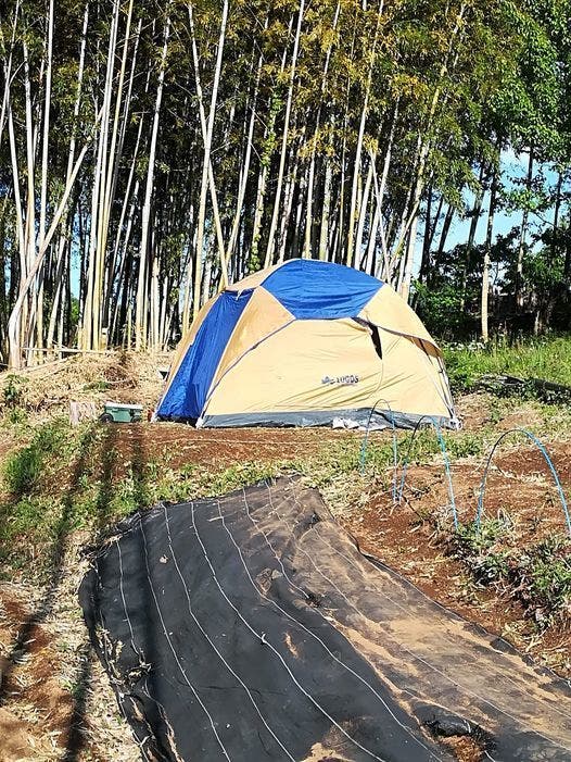 プライベートキャンプベースの写真7