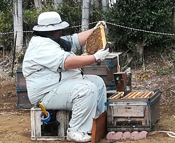 プライベートキャンプベースの写真9