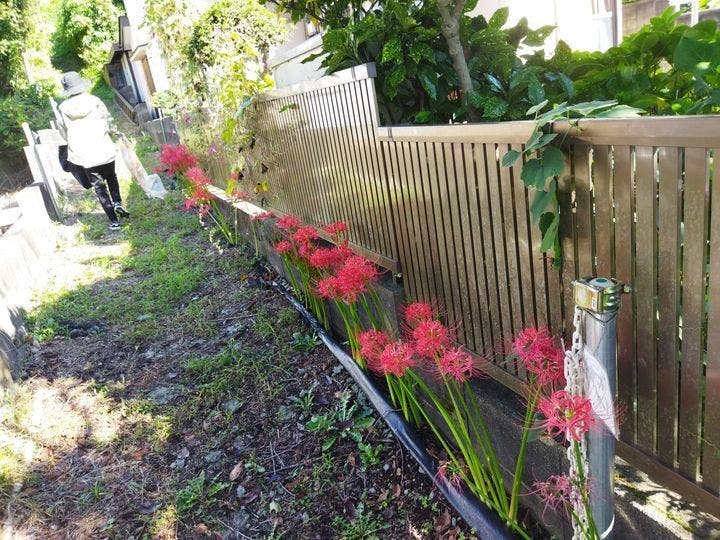 プライベートキャンプベースの写真10