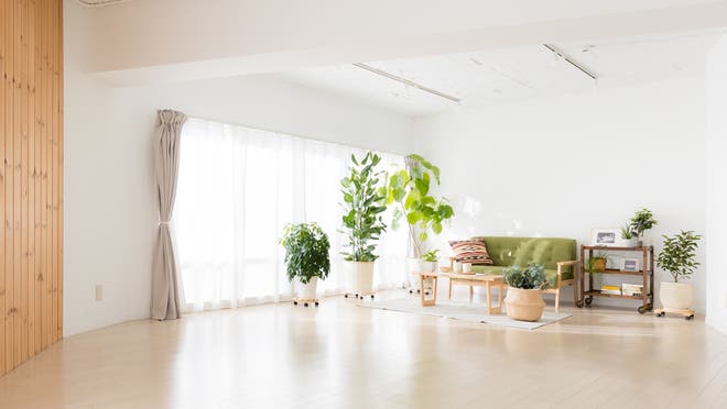 【代々木駅】3分!リーズナブルな自然光の入る白壁撮影スタジオ。家具や観葉植物が豊富でお家時間の再現やヨガ撮影にオススメ!の写真1