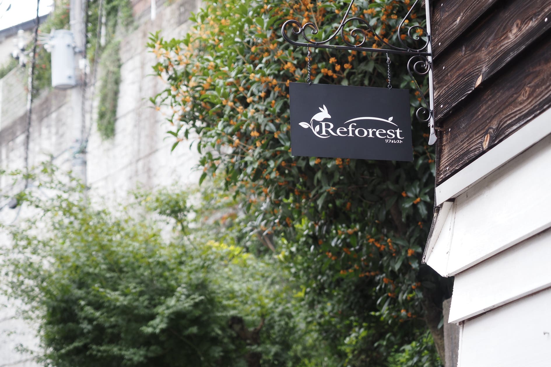 小さな森の小さなレンタルスペース【入間市駅徒歩10分】/撮影/イベント/展示会等の写真23