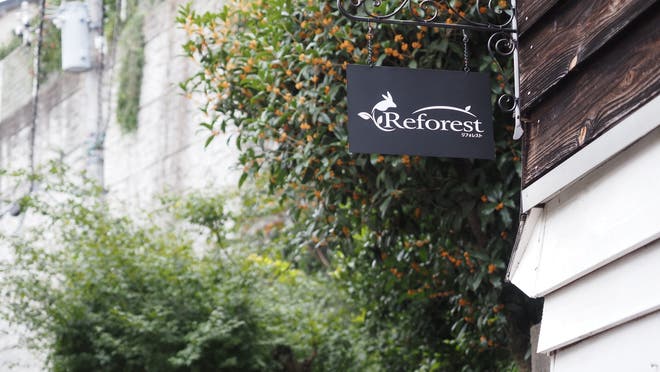 小さな森の小さなレンタルスペース【入間市駅徒歩10分】/撮影/イベント/展示会等の写真23