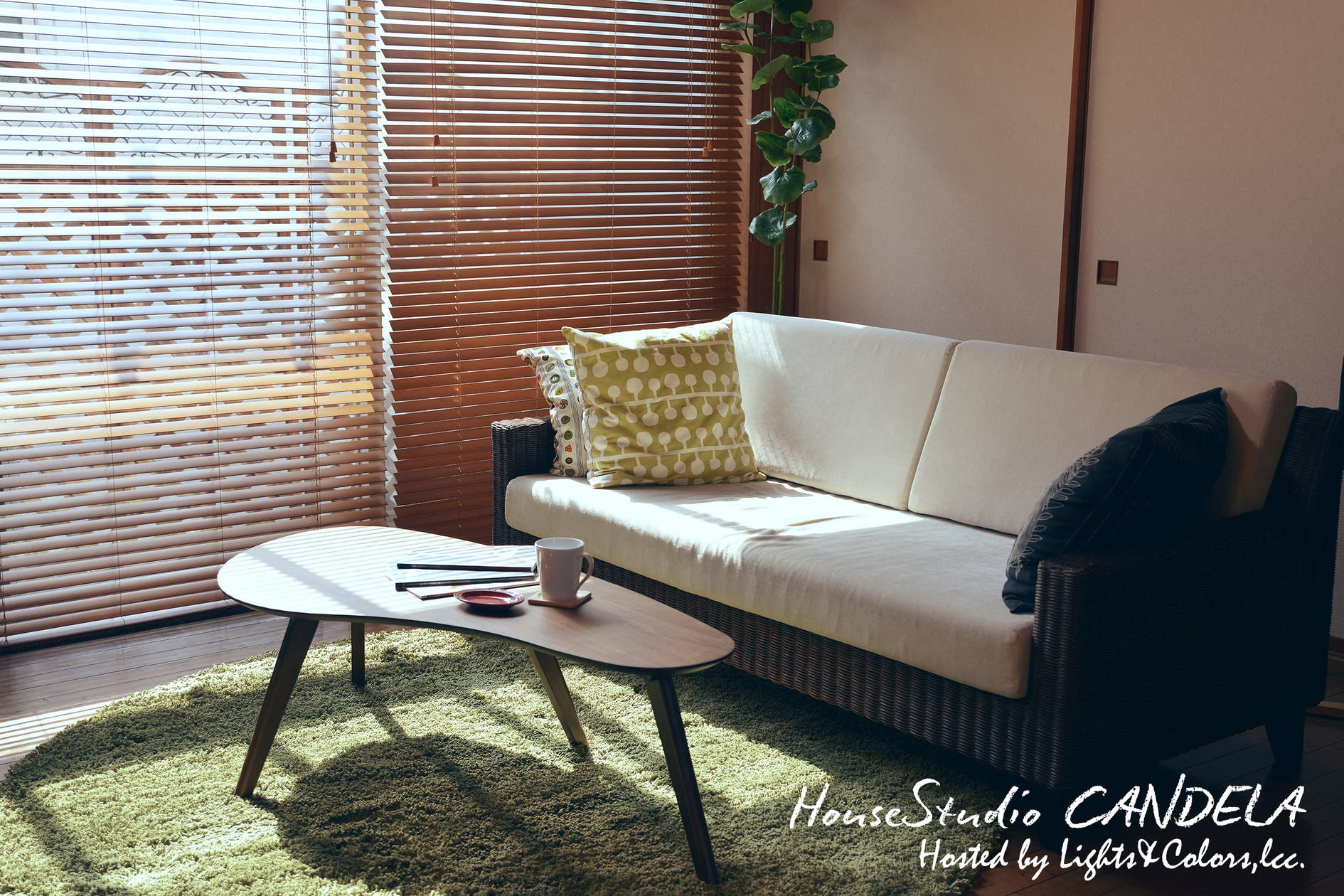 【市川/妙典/行徳】 戸建てハウススタジオ🏡 写真撮影/動画撮影📷🎥の写真4