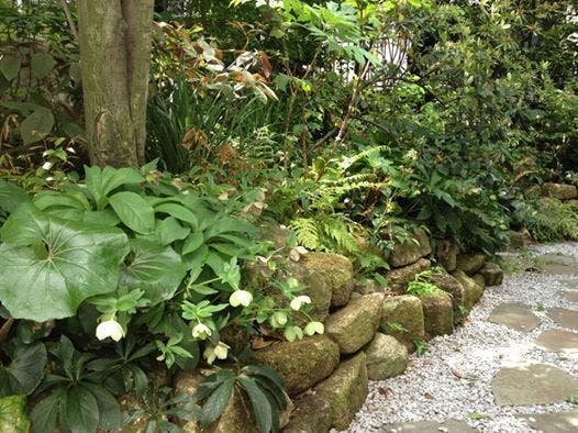 【南新宿駅からすぐ】自然光が心地良いワーキングスペース　y-valleyの写真19