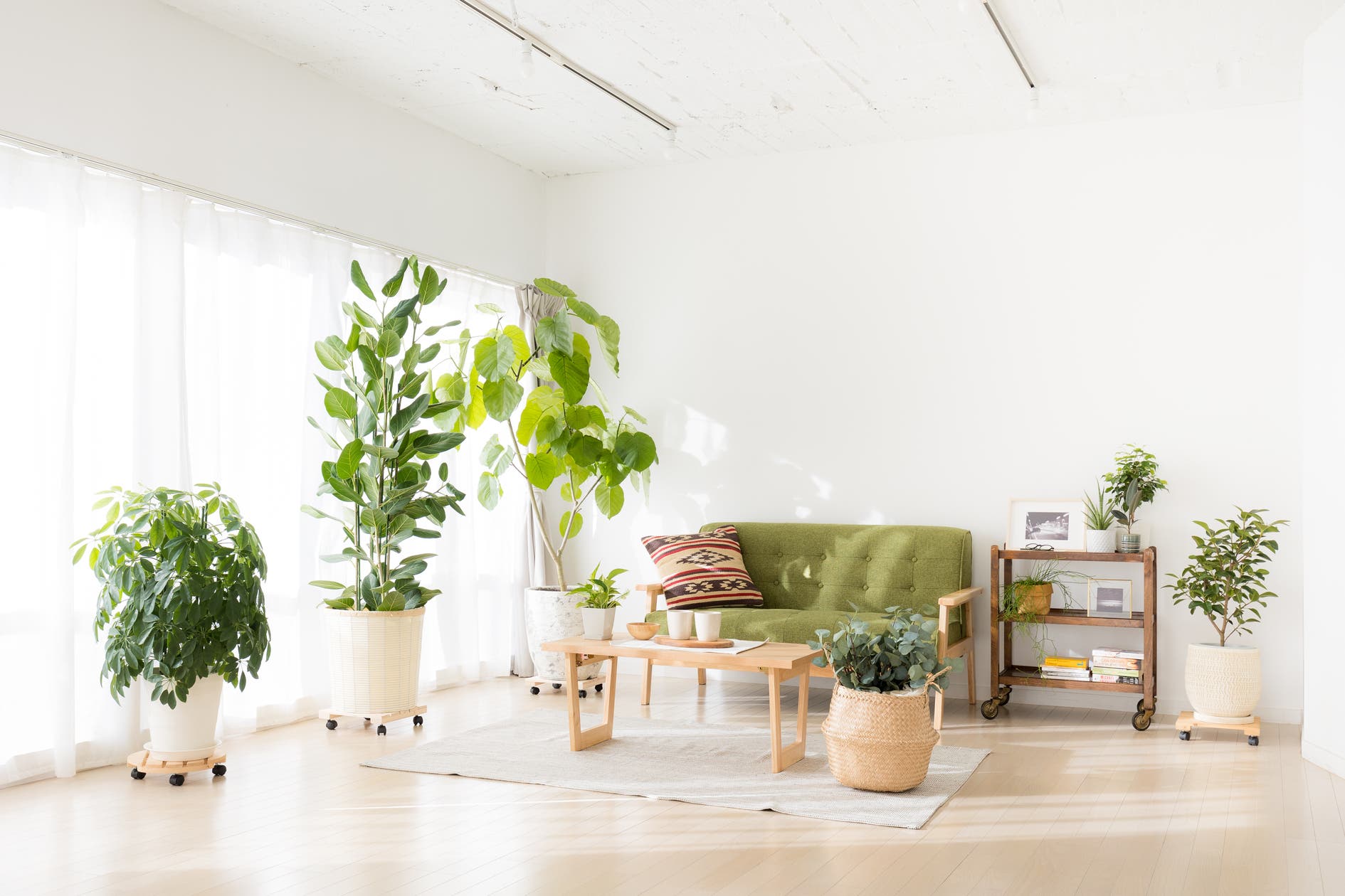 【代々木駅】3分！リーズナブルな自然光の入る白壁撮影スタジオ。家具や観葉植物が豊富でお家時間の再現やヨガ撮影にオススメ！の写真4