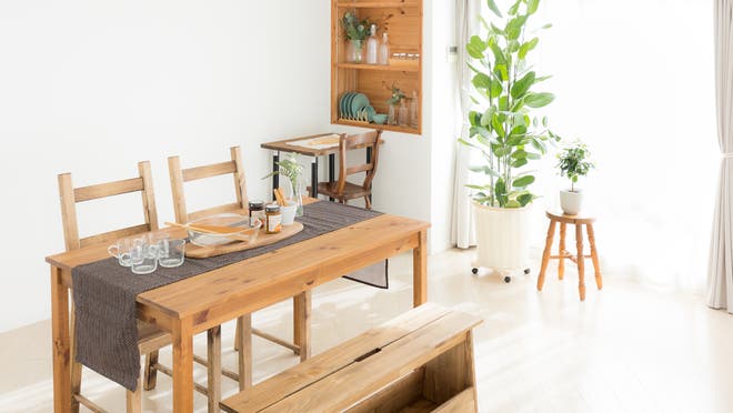 【代々木駅】3分!リーズナブルな自然光の入る白壁撮影スタジオ。家具や観葉植物が豊富でお家時間の再現やヨガ撮影にオススメ!の写真9