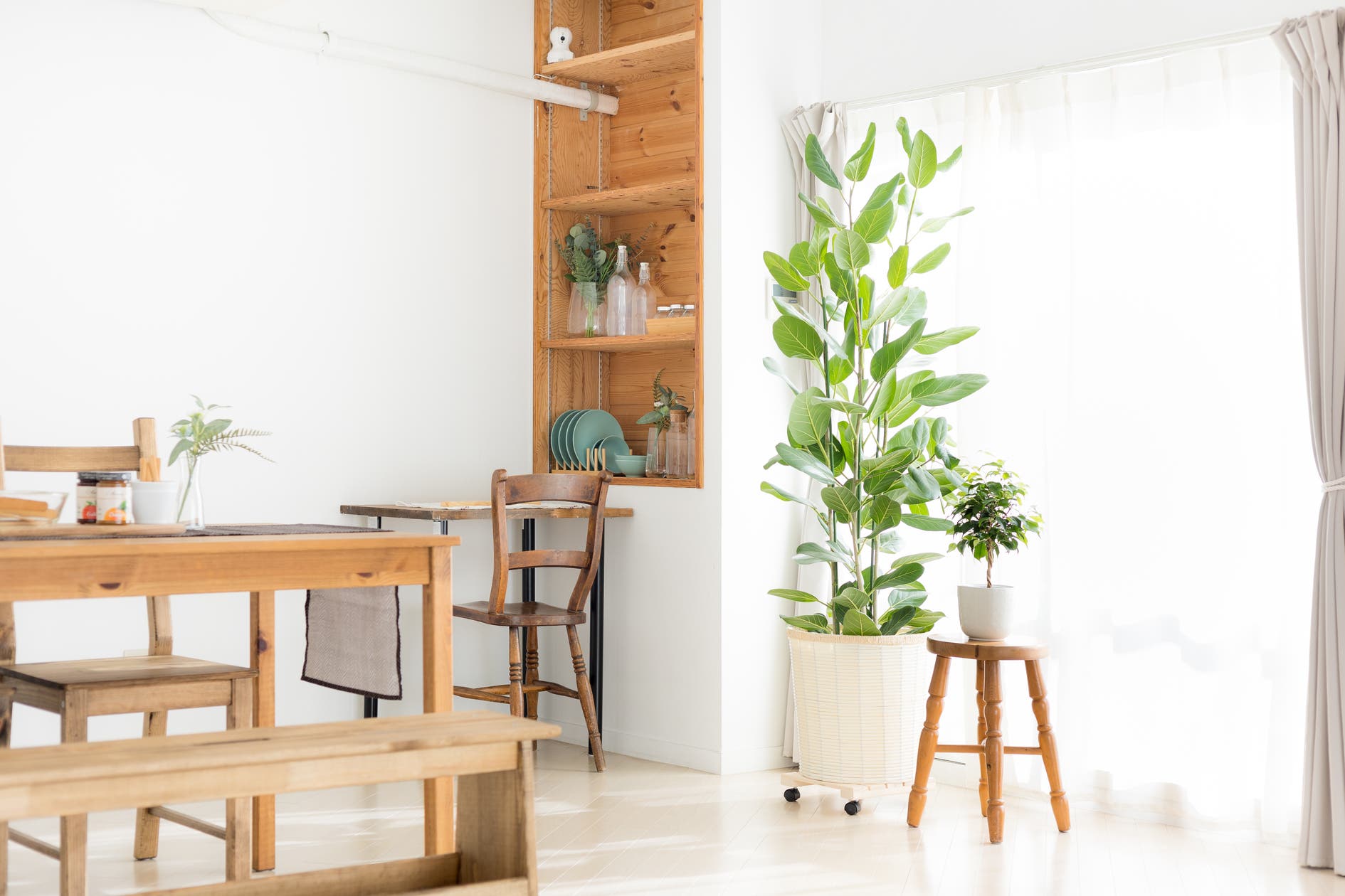 【代々木駅】3分！リーズナブルな自然光の入る白壁撮影スタジオ。家具や観葉植物が豊富でお家時間の再現やヨガ撮影にオススメ！の写真11