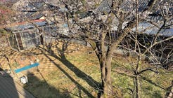 【ゆったり広々、貸切ノンストレスBBQ】BBQコンロ、花見、最大50名規模の宴会、ホームパーティー、ドッグラン、駐車場最大10台の写真3
